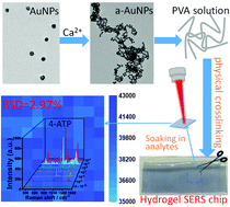 Hybridizing aggregated gold nanoparticles with a hydrogel to prepare a ...