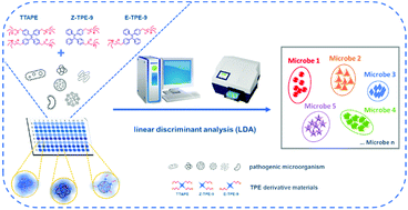 Fluorescent sensor array based on aggregation-induced emission ...