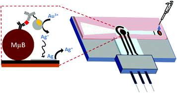Plastic-based lateral flow immunoassay device for electrochemical ...