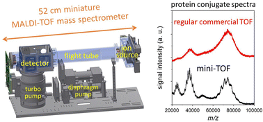 High-performance miniature linear time-of-flight mass spectrometry as an advantageous tool in a ...