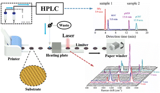 Construction of a HPLC-SERS hyphenated system for continuous separation ...