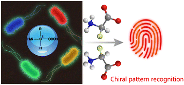 Monitoring of the yogurt fermentation process based on a rapid bio ...