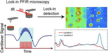Lock-in amplifier based peak force infrared microscopy - Analyst (RSC ...