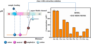 Paper-based sample processing for the fast and direct MS analysis of ...
