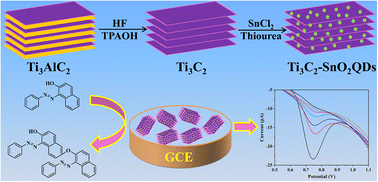 Multivalent SnO2 quantum dot-decorated Ti3C2 MXene for highly sensitive ...