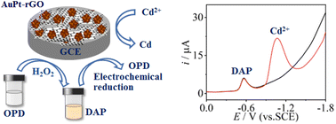 A nanozyme-catalysis-based ratiometric electrochemical sensor for ...