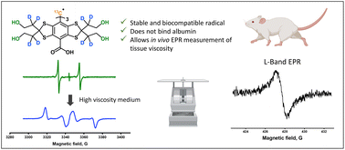 Synthesis and characterization of a biocompatible 13C1 isotopologue of ...