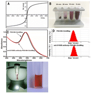 A biosensor for S100B detection based on PSS-MA-GoldMag-LFIA in early ...
