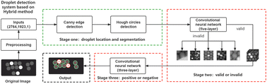 A deep learning based method for automatic analysis of high-throughput ...