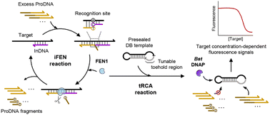 A highly specific and flexible detection assay using collaborated ...