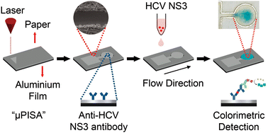 Fabrication and development of a microfluidic paper-based immunosorbent ...