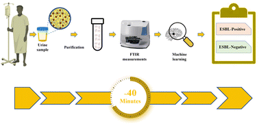 Instant detection of extended-spectrum β-lactamase-producing bacteria ...