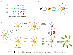 A fluorescent aptasensor for ATP based on functional DNAzyme/walker and ...