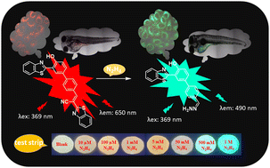 Multi-scene visual hydrazine hydrate detection based on a ...