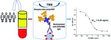 Improved ELISA for linoleate-derived diols in human plasma utilizing a ...