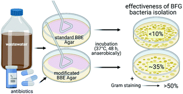 Selective And Differential Agar Microbiology Solutions: What Are