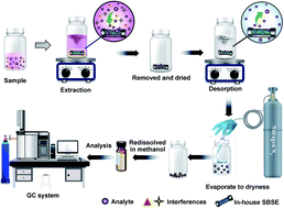 A stir bar sorptive extraction device coupled with a gas chromatography ...
