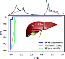 Identification of hepatocellular carcinoma and paracancerous tissue ...