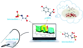 An in-depth mechanistic study of the p-hydroxyphenylglycine synthetic ...