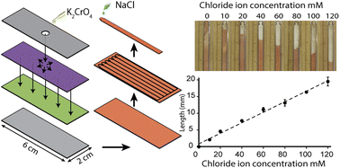 In situ synthesis of reagents in paper-based analytical devices using ...