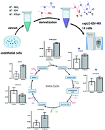 Analysis of endogenous metabolites using multifunctional derivatization ...