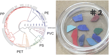 Screening of polymer types and chemical weathering in macro- and meso ...