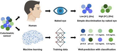 A regression-based machine learning approach for pH and glucose ...