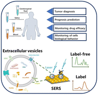 Recent progress in surface-enhanced Raman spectroscopy-based biosensors ...