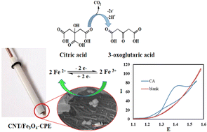 Selective and ultrasensitive citric acid assay in urine samples using a ...