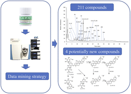 Rapid and comprehensive identification of chemical constituents in Mai ...