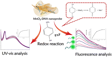 MnO2–DNA nanomaterials toward the dual signal detection of P ...
