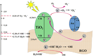 Preparation of Au-RGO/TiO2 nanotubes and study on the photocatalytic ...