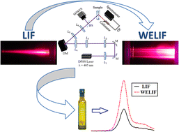 Adaptive optics-based wavefront-enhanced laser-induced fluorescence ...