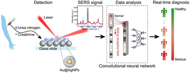 CNN-assisted SERS enables ultra-sensitive and simultaneous detection of ...