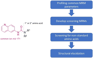 A novel screening method for free non-standard amino acids in human ...