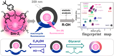 Highly selective and discriminative detection of small alcohols based ...