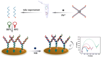 An efficient electrochemical biosensor for the detection of heavy metal ...
