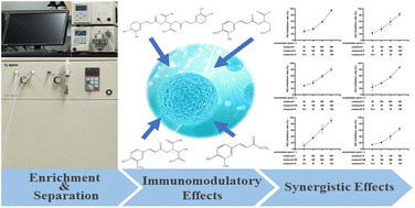 Preparative separation of eight phenolic acids from Echinacea purpurea ...