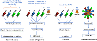 Development and validation of a mass spectrometry based analytical ...