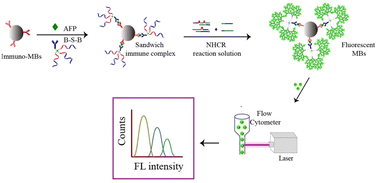 Rational design of nonlinear hybridization immunosensor chain reactions ...