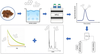 On the co-elution of benzo[a]pyrene and dibenzo[a,l]pyrene in ...