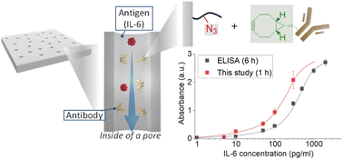 Design of a highly sensitive and versatile membrane-based immunosensor ...