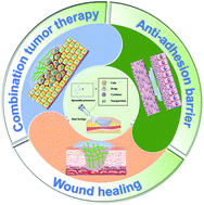 Sprayable hydrogel for biomedical applications - Biomaterials Science ...