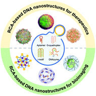 Construction of rolling circle amplification-based DNA nanostructures ...