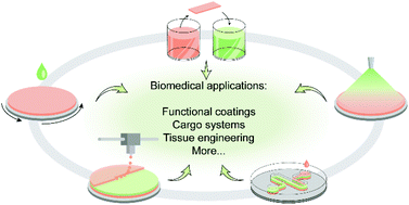 Layer-by-layer assembly methods and their biomedical applications ...