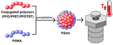Luminescence-enhanced conjugated polymer dots through thermal treatment ...