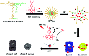 An acid-triggered BODIPY-based photosensitizer for enhanced ...