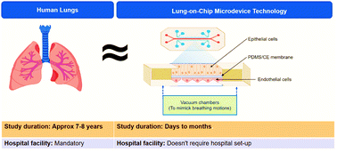 Lung-on-chip microdevices to foster pulmonary drug discovery ...