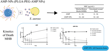 Antimicrobial peptide-grafted PLGA-PEG nanoparticles to fight bacterial ...