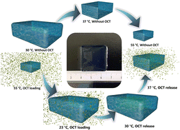 Advanced antifouling and antibacterial hydrogels enabled by controlled ...